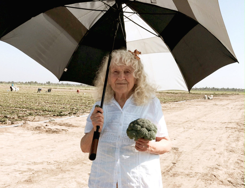 Amy's Kitchen - Amy's Kitchen, Family Owned and Operated since 1987